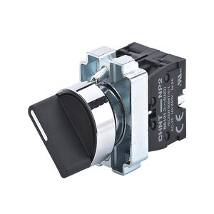 Переключатель NP2-BD33, 3 положения фиксацией, 2НО, IP40 (R) | CHINT